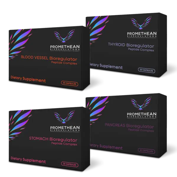 The Digestive Maintenance Plan | Promethean Bioregulators